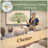 Chester Group